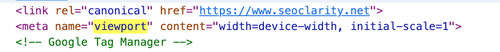 Multiple Viewport Tags Were Found in the Head Element